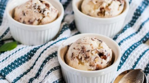 Mint, Chocolate Chip, and Dark Chocolate Almond Gelato | A Cookie Named ...