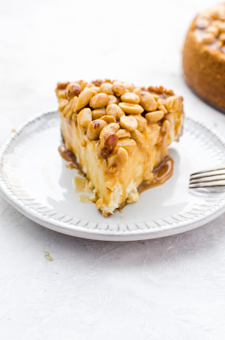 Turtle Cheesecake with Almond-Oat Crust - A Cookie Named Desire
